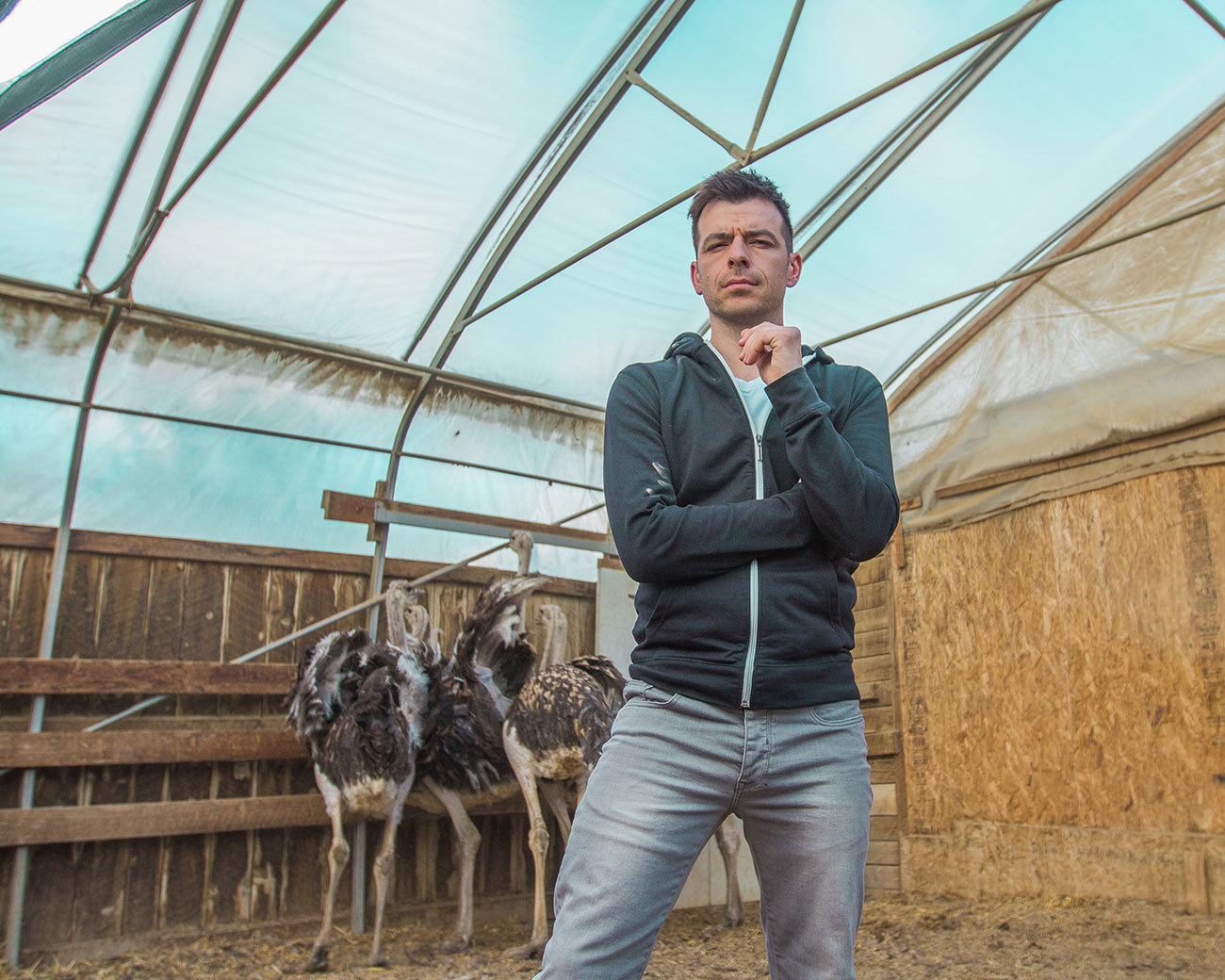 Weird-o-meter - Trio Orange